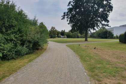 KoMex® naturel Münster